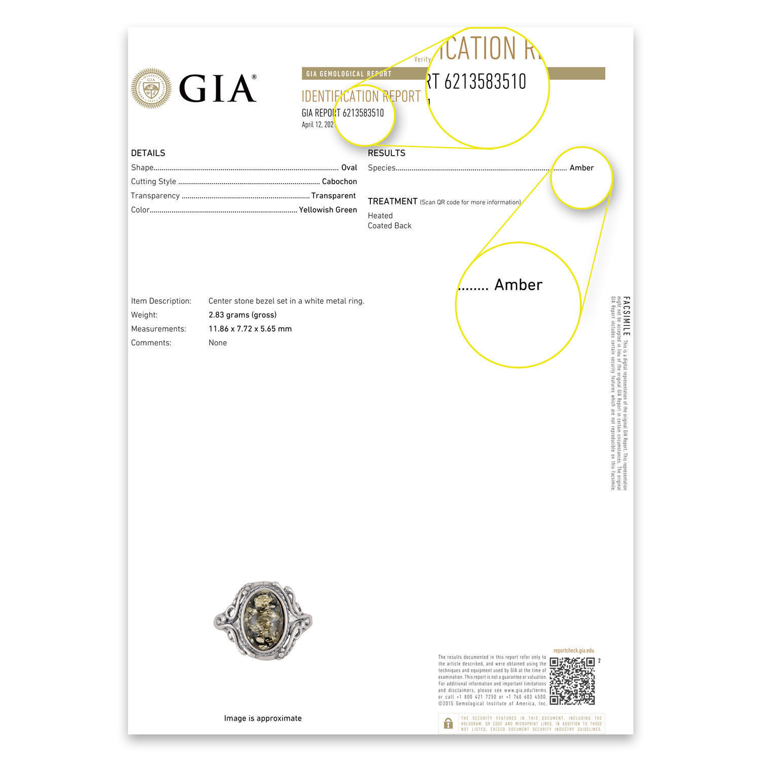 Sterling Silver and Baltic Green Amber Ring - GIA Certified