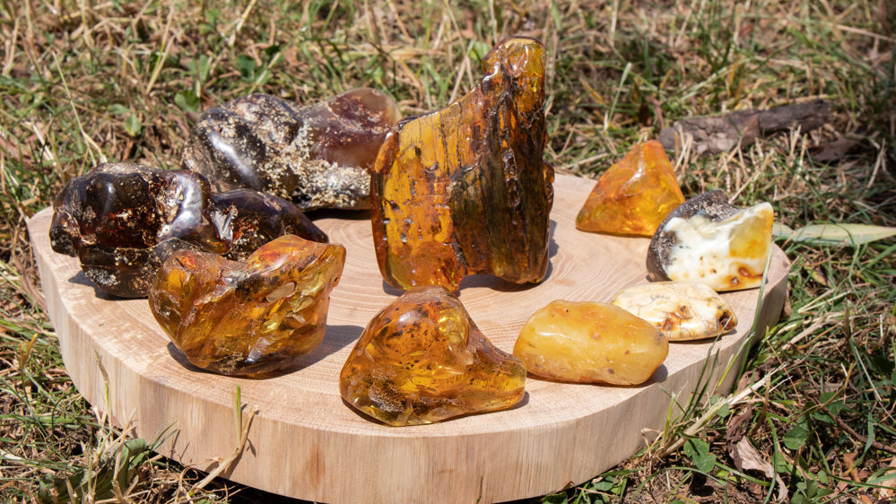 Understanding Baltic Amber: Its Origins, Characteristics, and Significance
