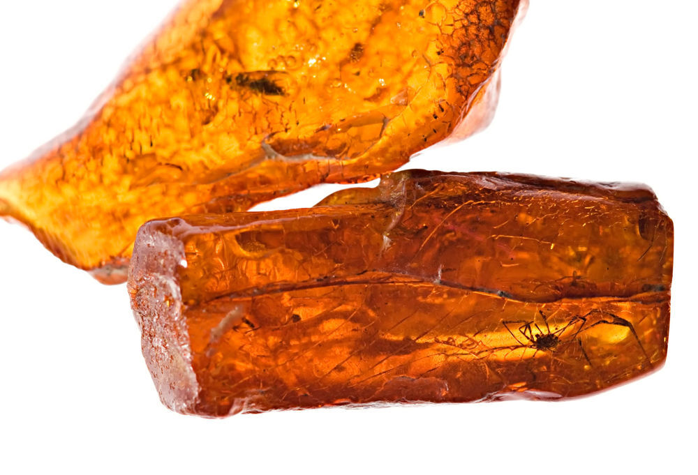Understanding Baltic Amber: Its Origins, Characteristics, and Significance